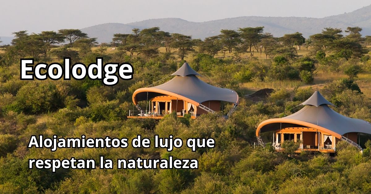 Ecolodge: alojamientos de lujo que respetan la naturaleza - Neumáticos ...